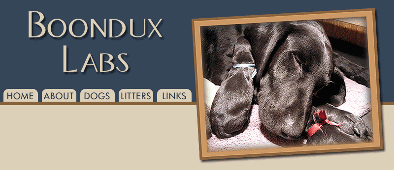 Boondux Labs - Regi/Lily Puppy Pictures
