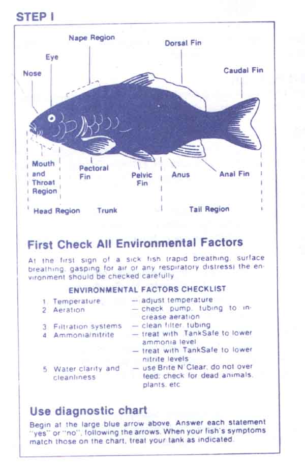 Mardell Fish Chart