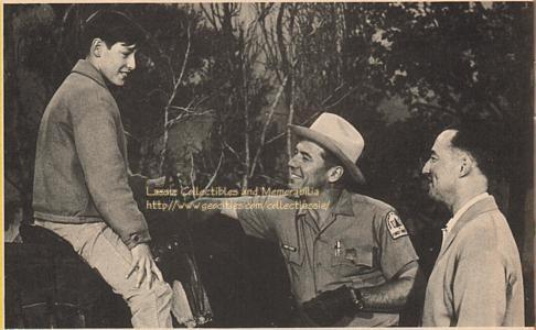 LASSIE Collectibles and Memorabilia - Magazines and TV Guides