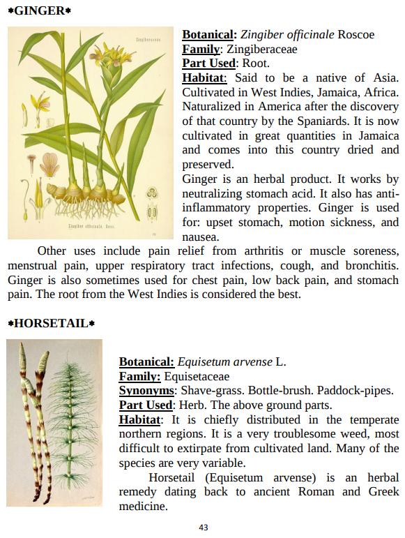 Medicinal Plants and their Importance