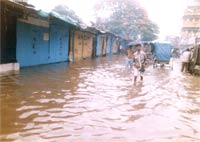 Rain Water Harvesting