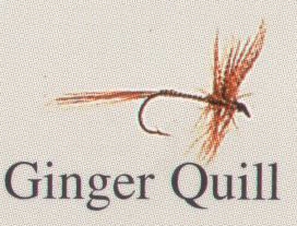 Tom Nixon Flies: Ginger Quill