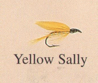 Tom Nixon Flies: Yellow Sally