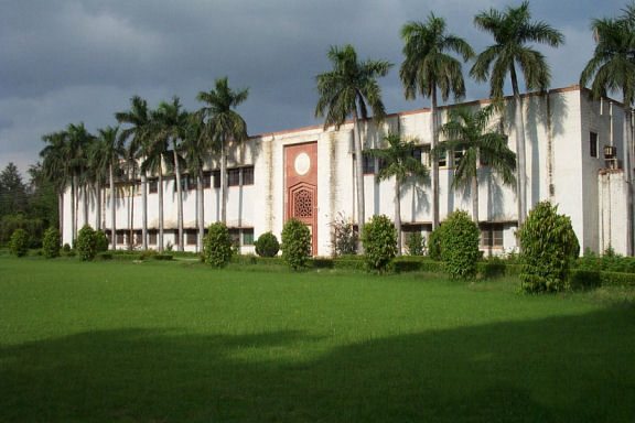 my college