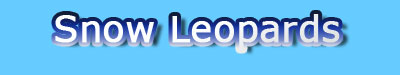 Snow Leopard