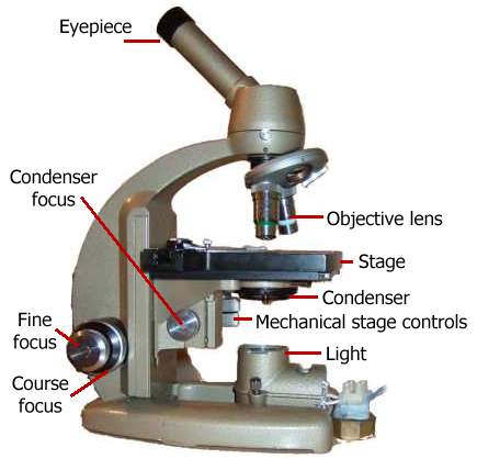 Condenser Microscope