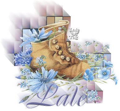 lale designs