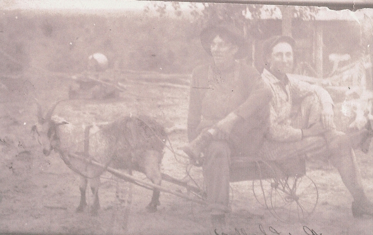 CHALLIS FAMILY PHOTOGRAPHS