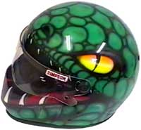 Snake Helmets