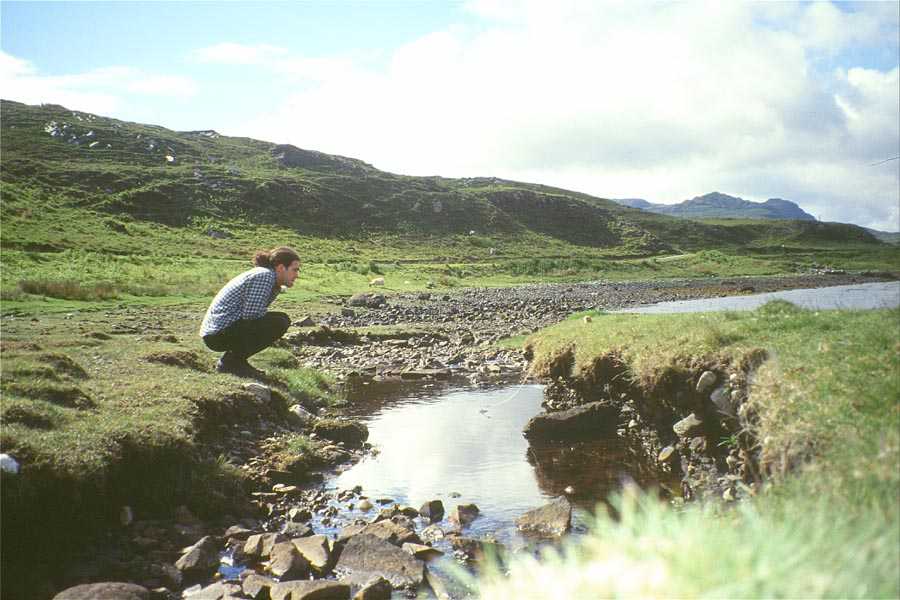 Culum Brown's Home Page