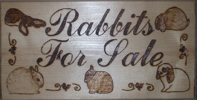 Custom Rabbitry & Cavy Signs