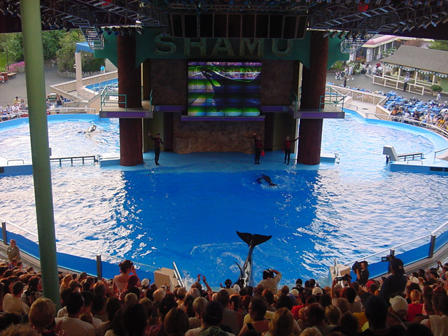 sea world pics