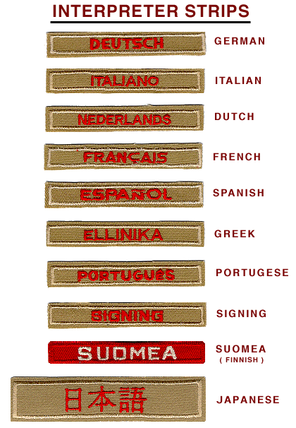 The BSA Interpreter Program