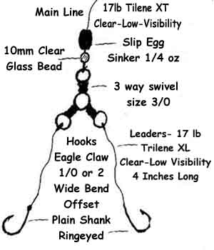 Welcome to the Carp Anglers Group Homepage