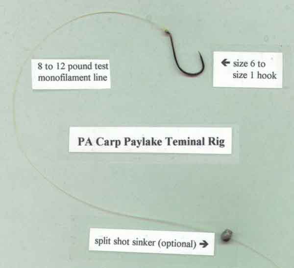 Welcome to the Carp Anglers Group Homepage