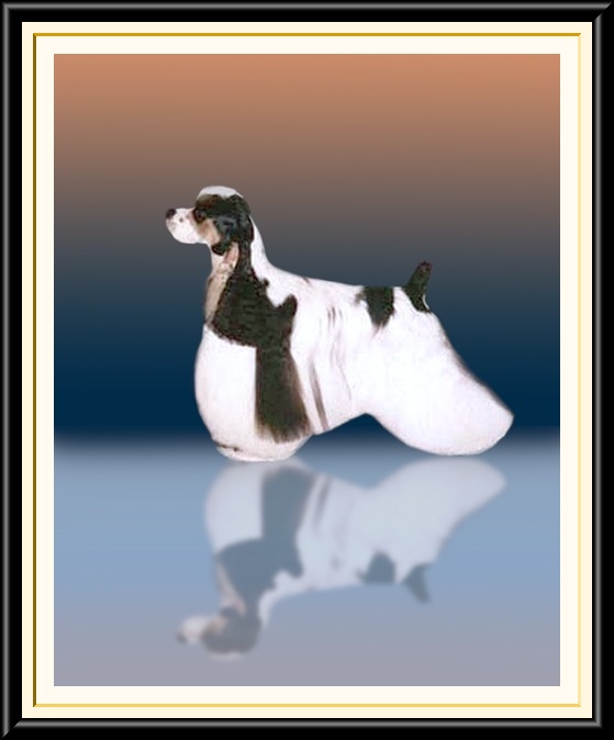 index [www.geocities.ws]