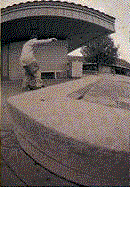 Skate And Punk- Animated Gif's