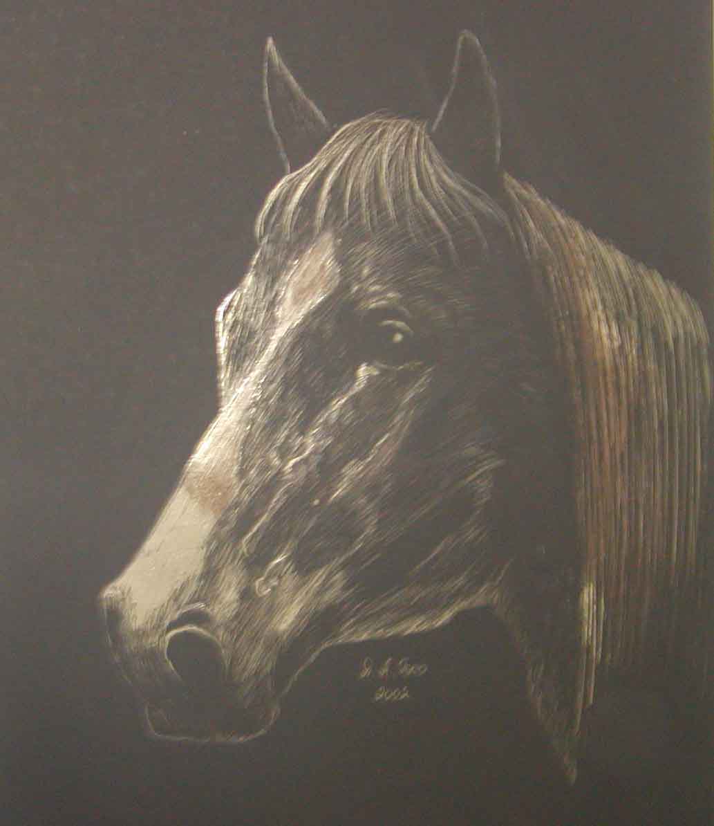 Scratchboard Art - Gallery One