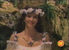 Wild Force Virtual Season Info Center