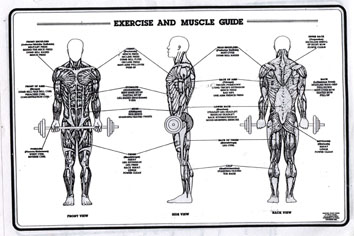 WORKOUT