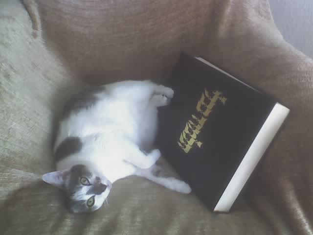 Welcome to David Siff's Homepage!