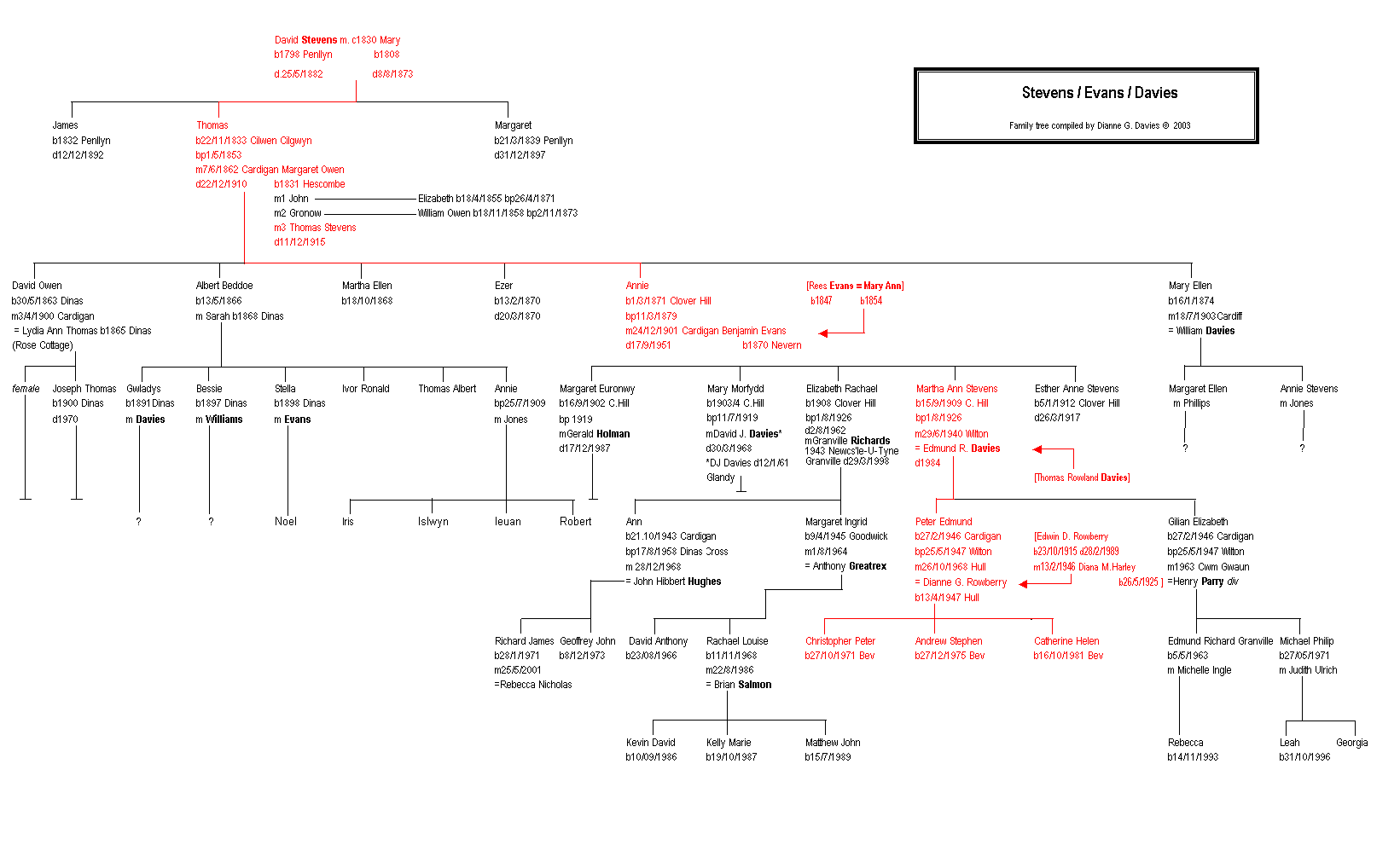 Stevens - Evans - Davies family tree