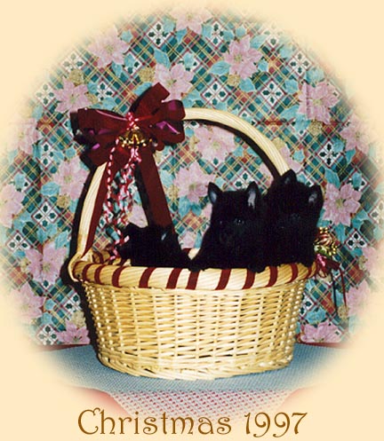 DawnToDuskFunFotosOne