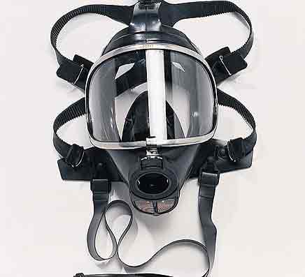 mask factsheet template