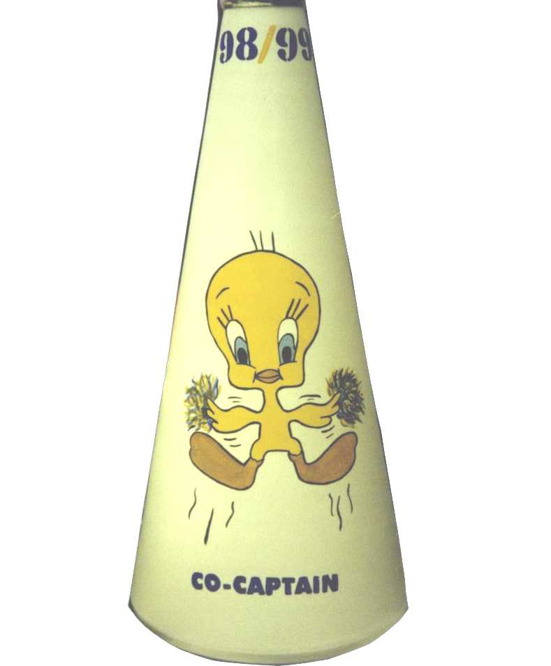 Hand Painted Megaphones - Custom Megaphones - Pep Squad Megaphones ...
