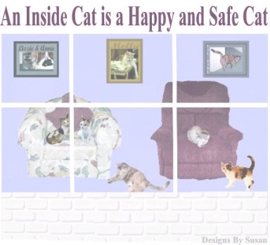 Inside Cat Graphic