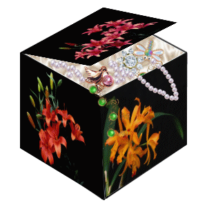 TheFriendshipBox