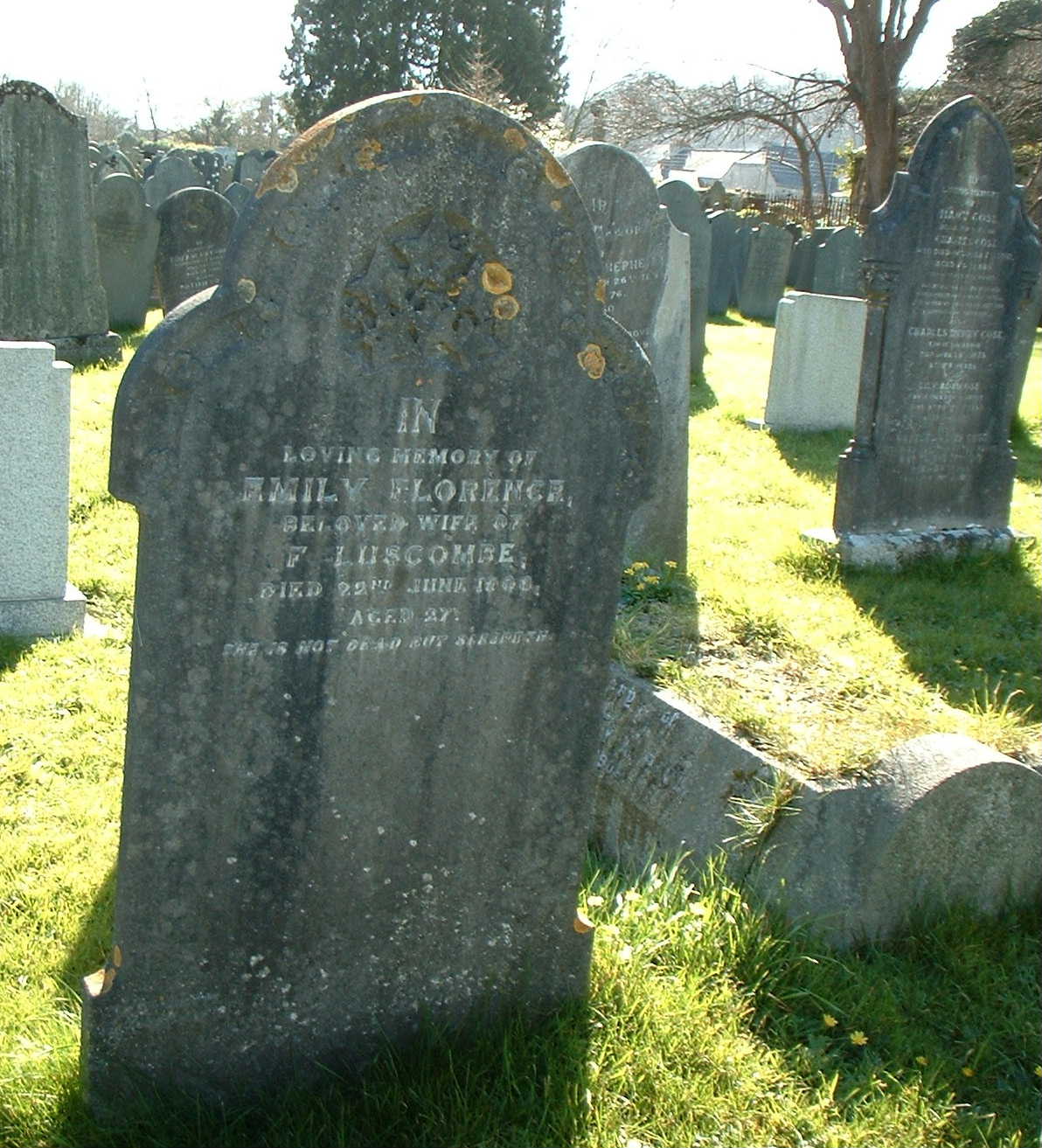 Plympton St. Mary's Church, Plympton, Plymouth Devon, England