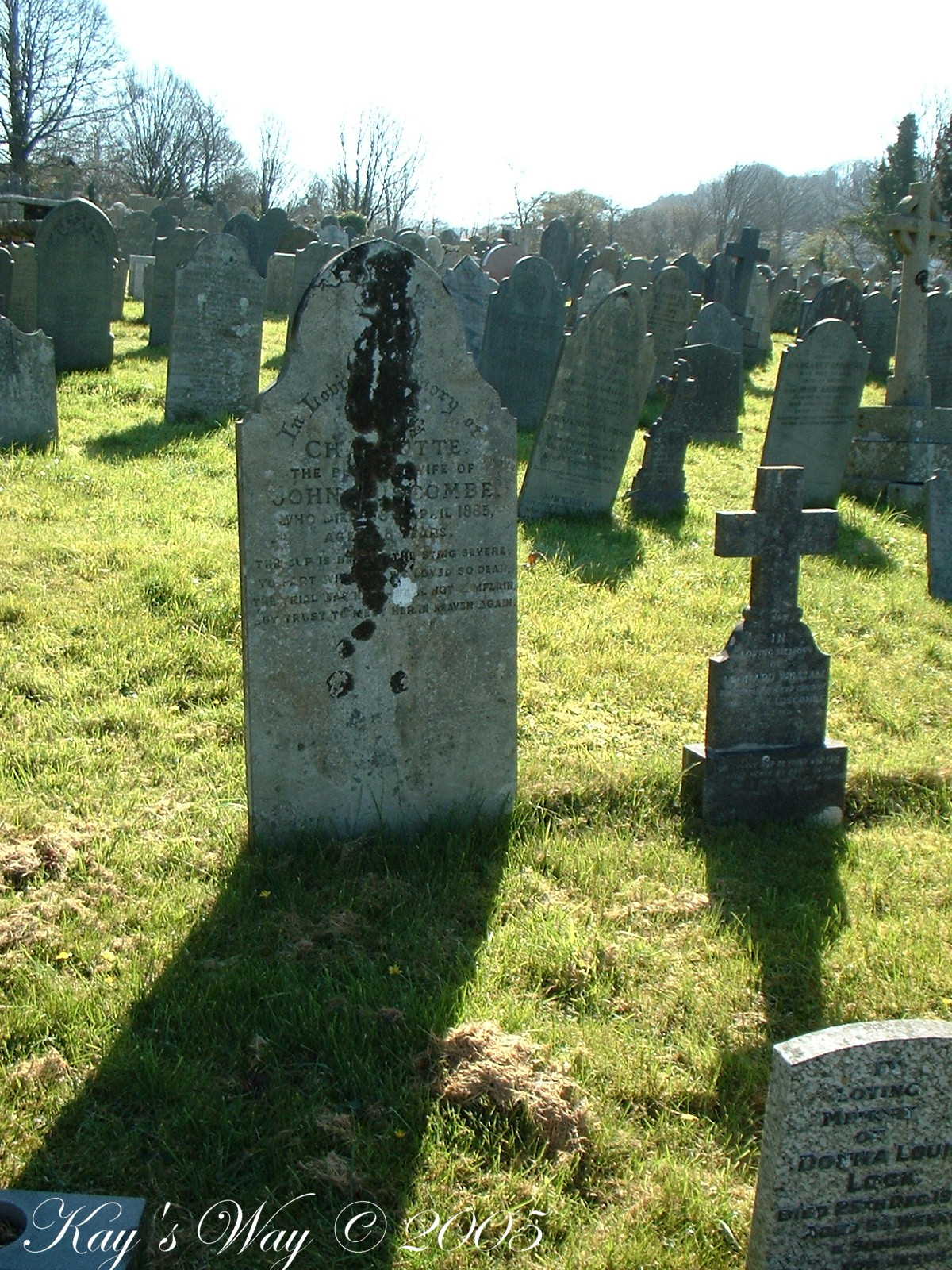 Plympton St. Mary's Church, Plympton, Plymouth Devon, England