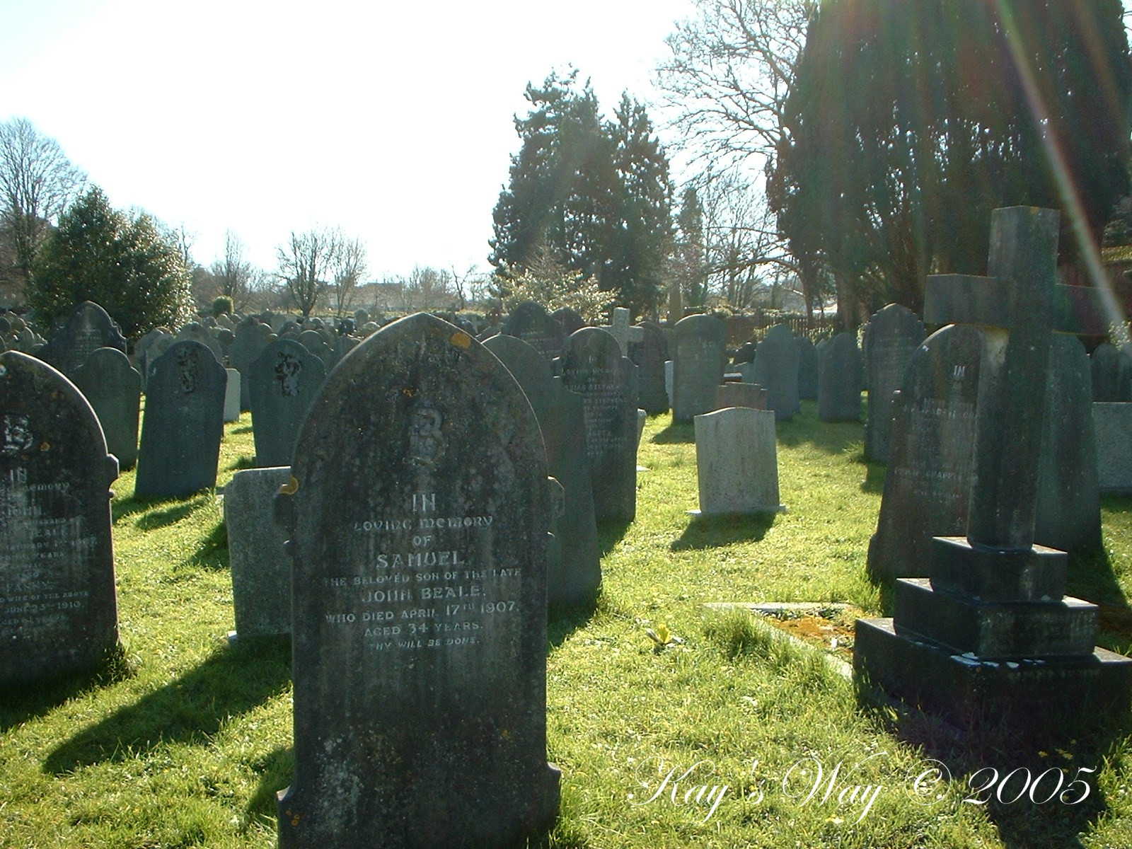 Plympton St. Mary's Church, Plympton, Plymouth Devon, England