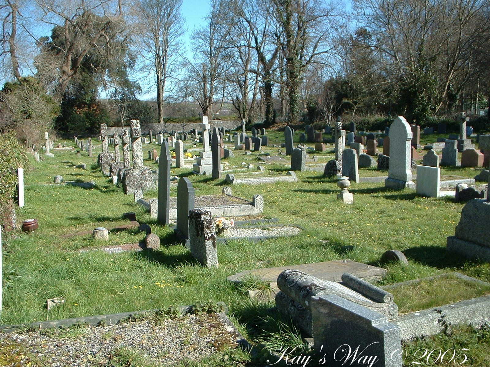 Plympton St. Mary's Church, Plympton, Plymouth Devon, England