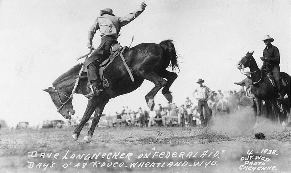 Longenecker Family Newsletter