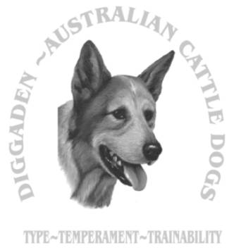 Welcome to Diggaden Australian Cattle Dogs Home Page