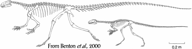 DinoWight EXTRA - Thecodontosaurus, a prosauropod from Southwest England