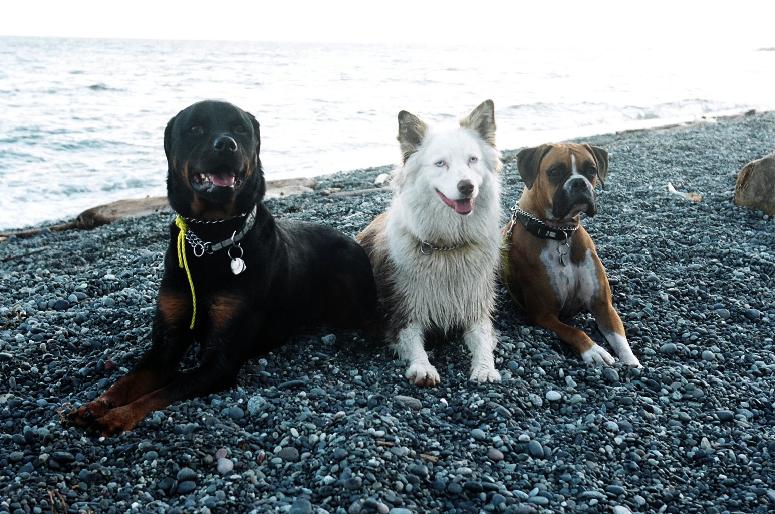 index [www.geocities.ws]