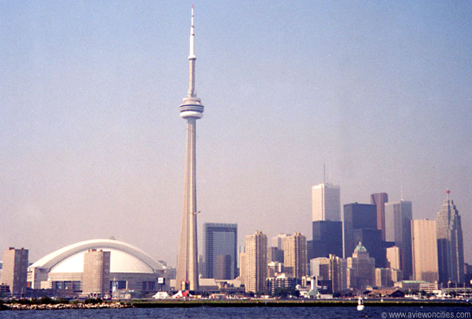 Djiz's Toronto Exchange