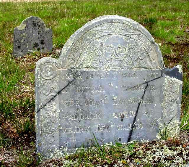 The Descendants of Robert Paddock and Mary Holmes