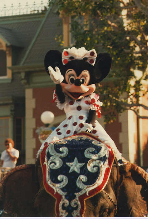 Close-up Of Minnie