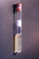 Culture Collection for Medical Microorganism/Deep Tube Stock Agar