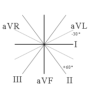 Physiology: Cardiovascular