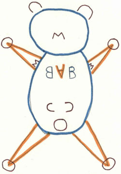 Dose-related toxicity of the distal convoluted tubule and collecting ...