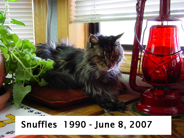 Snuffles R.I.P. June 8, 2007.