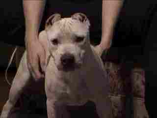 Hosted by www.Geocities.ws