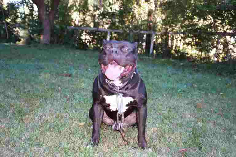 HOME [www.geocities.ws]