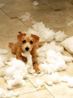 "Think positive, not punishment"