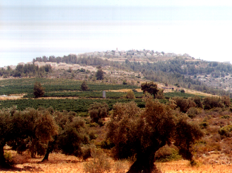 index [www.geocities.ws]